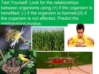 Lesson Plan in Biological Science | PPT