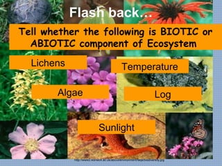 Lesson Plan in Biological Science | PPT