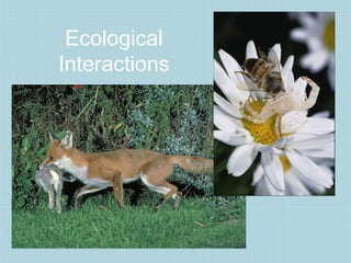 Lesson Plan in Biological Science | PPT