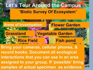 Lesson Plan in Biological Science | PPT