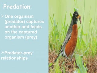 Lesson Plan in Biological Science | PPT