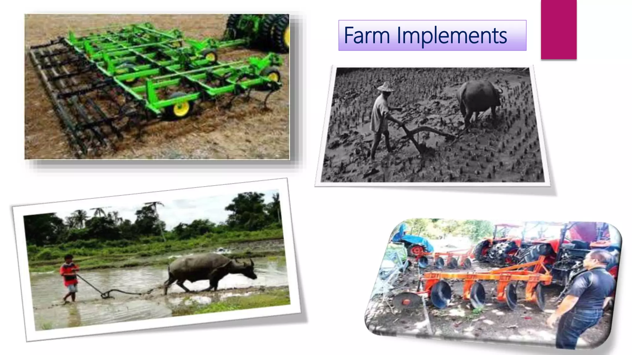 Agri-crop production | PPTX