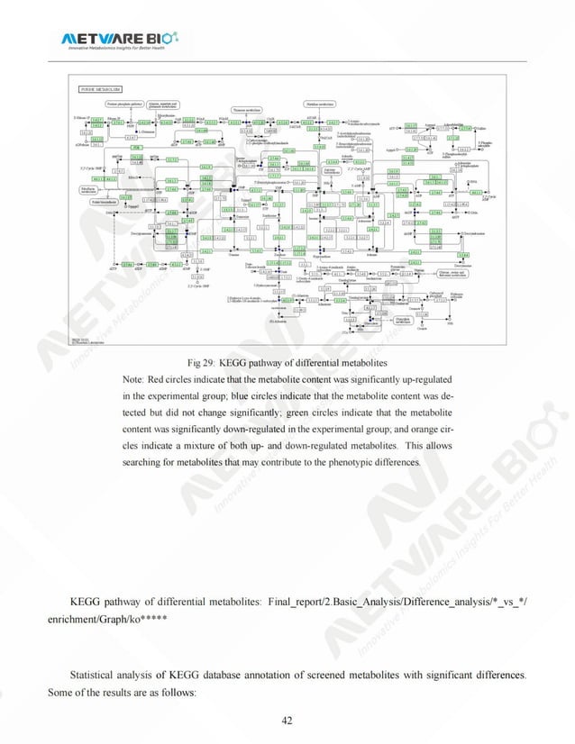 demo-final-report-of-untargeted-metabolomics.pdf
