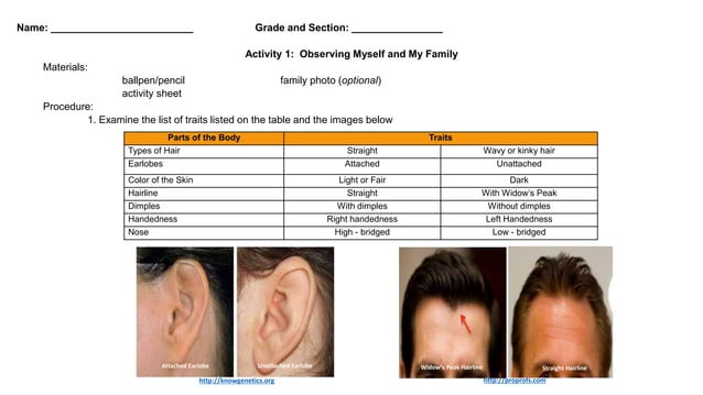 DEMO-MENDELIAN GENETICS.pptx
