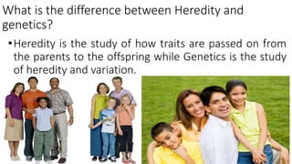 DEMO-MENDELIAN GENETICS.pptx