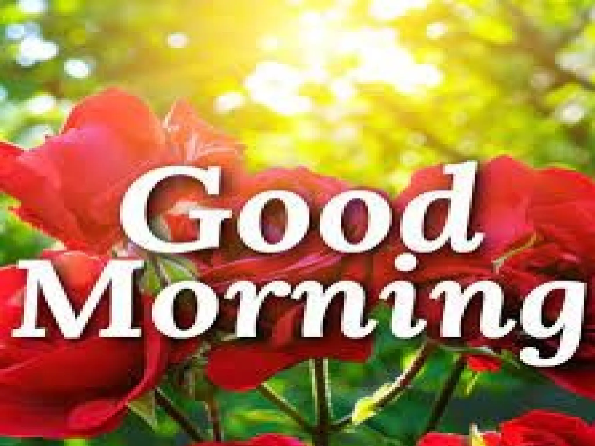 DEMO 2 cot lesson demonstration files.ppt