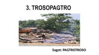 Sektor ng Industriya Araling Panlipunan 9 | PPTX
