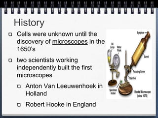 Demo cell theory | PPTX