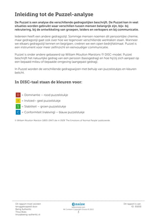 Demo Puzzle DISC & Driving Forces (Ensize International) | PDF ...