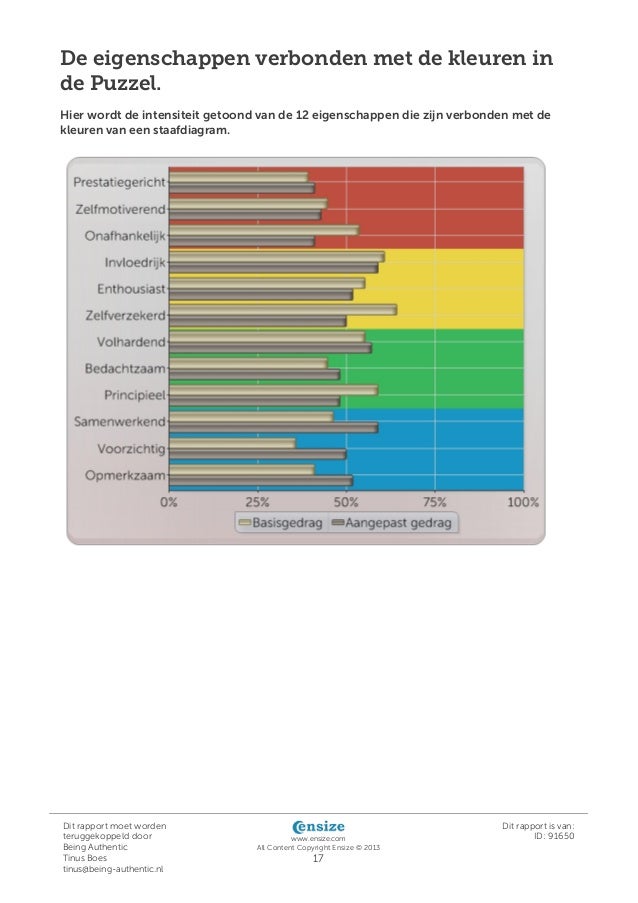 Demo Puzzle DISC & Driving Forces (Ensize International)