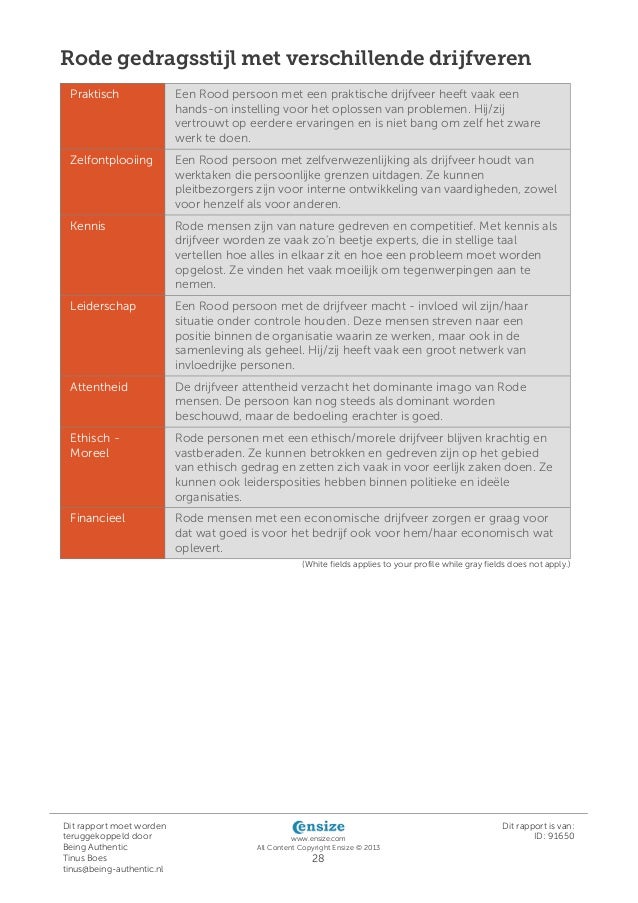 Demo Puzzle DISC & Driving Forces (Ensize International)