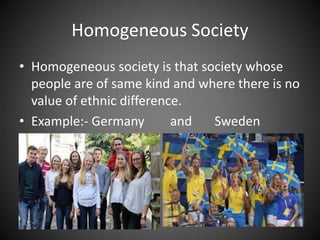 Democracy and diversity | PPT