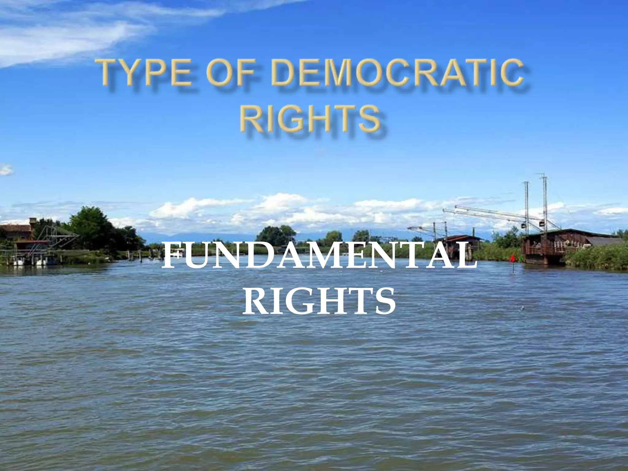 Democratic rights by Arjun malik | PPTX