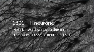 Dal percettrone ad alphago | PPT