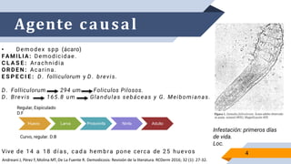 DEMODECIDOSIS MARIA ROCHA DERMATO.pptx