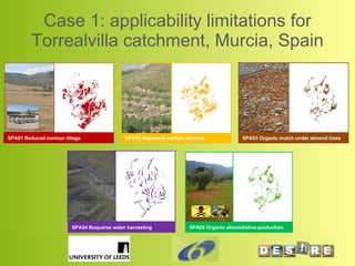 WB5 Analysis procedure | PPS | Business | Business and Finance