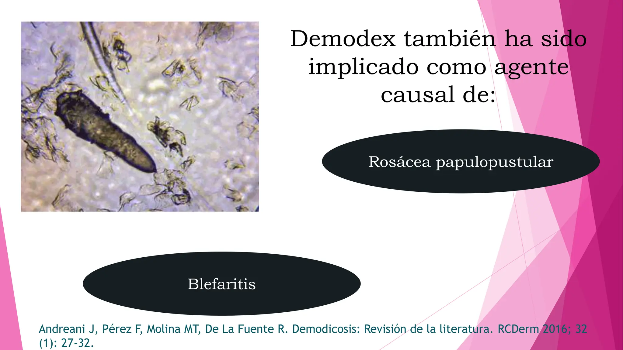 demodicosis, una patología poco frecuente. | PPT