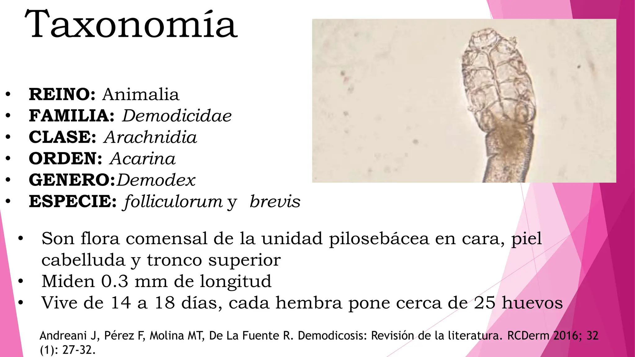demodicosis, una patología poco frecuente. | PPT