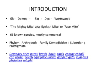 Demodex by aseem | PPTX