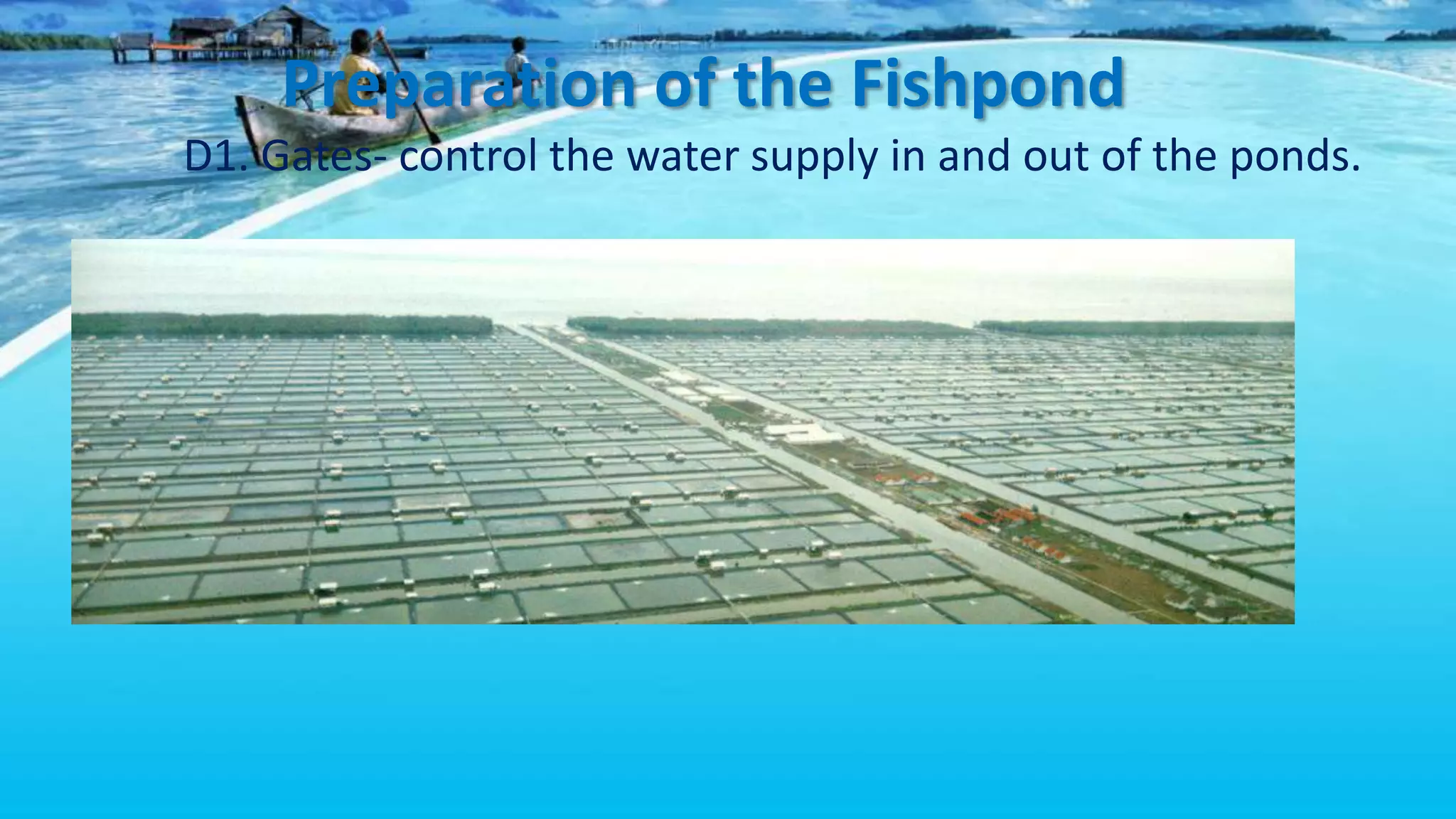 Drawing, Plans, Layout System of Fishery Farm | PPTX