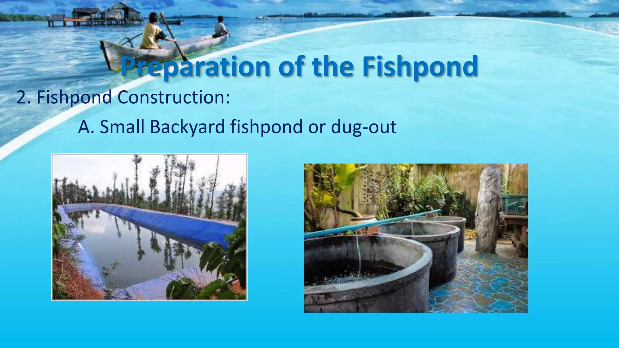 Drawing, Plans, Layout System of Fishery Farm | PPTX