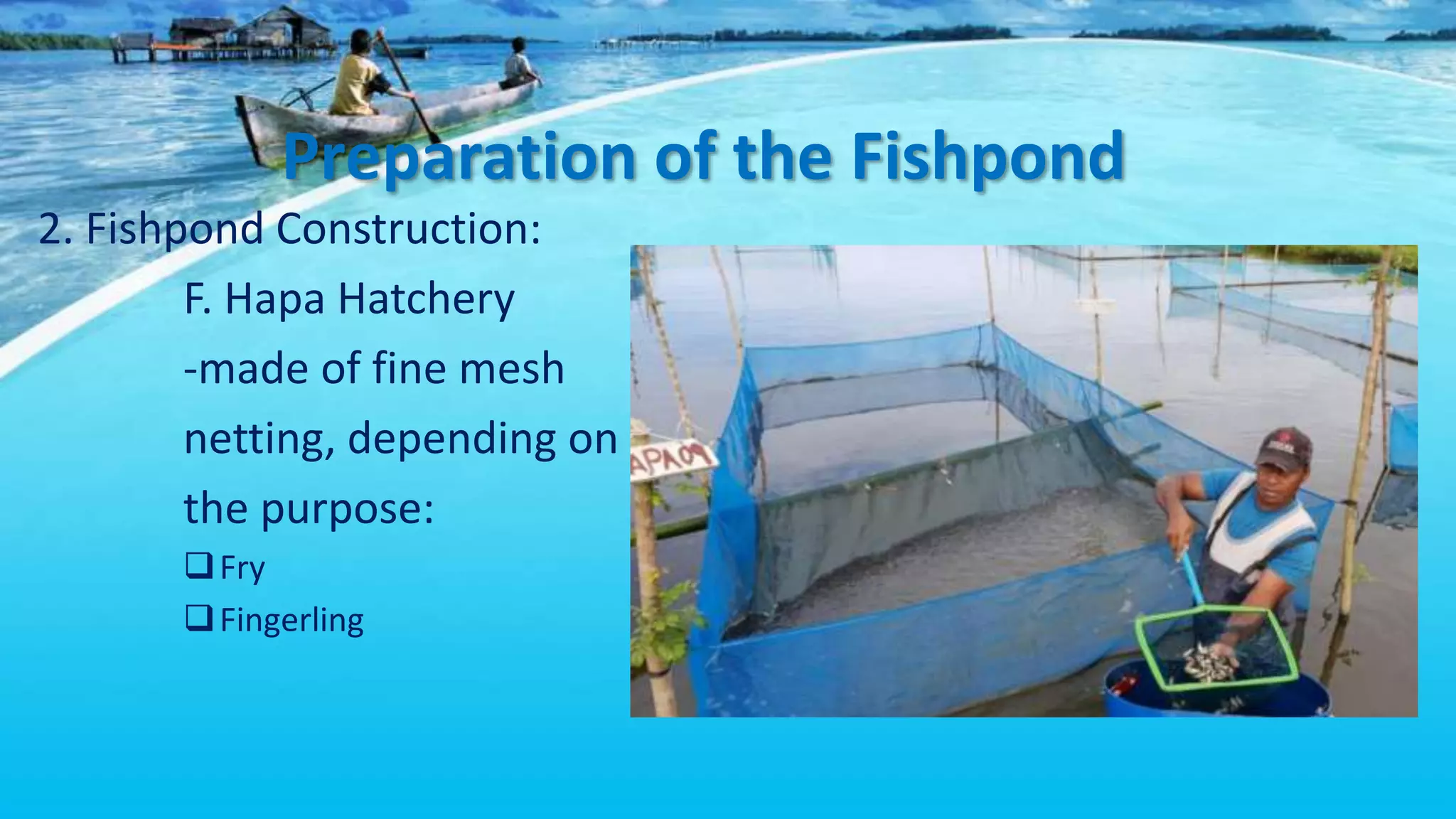 Drawing, Plans, Layout System of Fishery Farm | PPTX