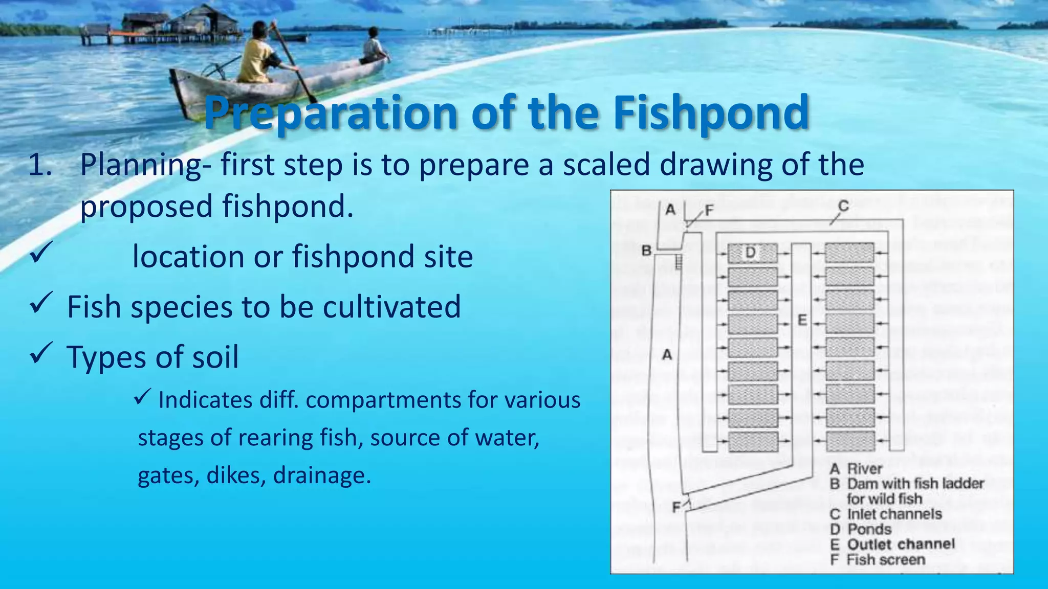 Drawing, Plans, Layout System of Fishery Farm | PPTX