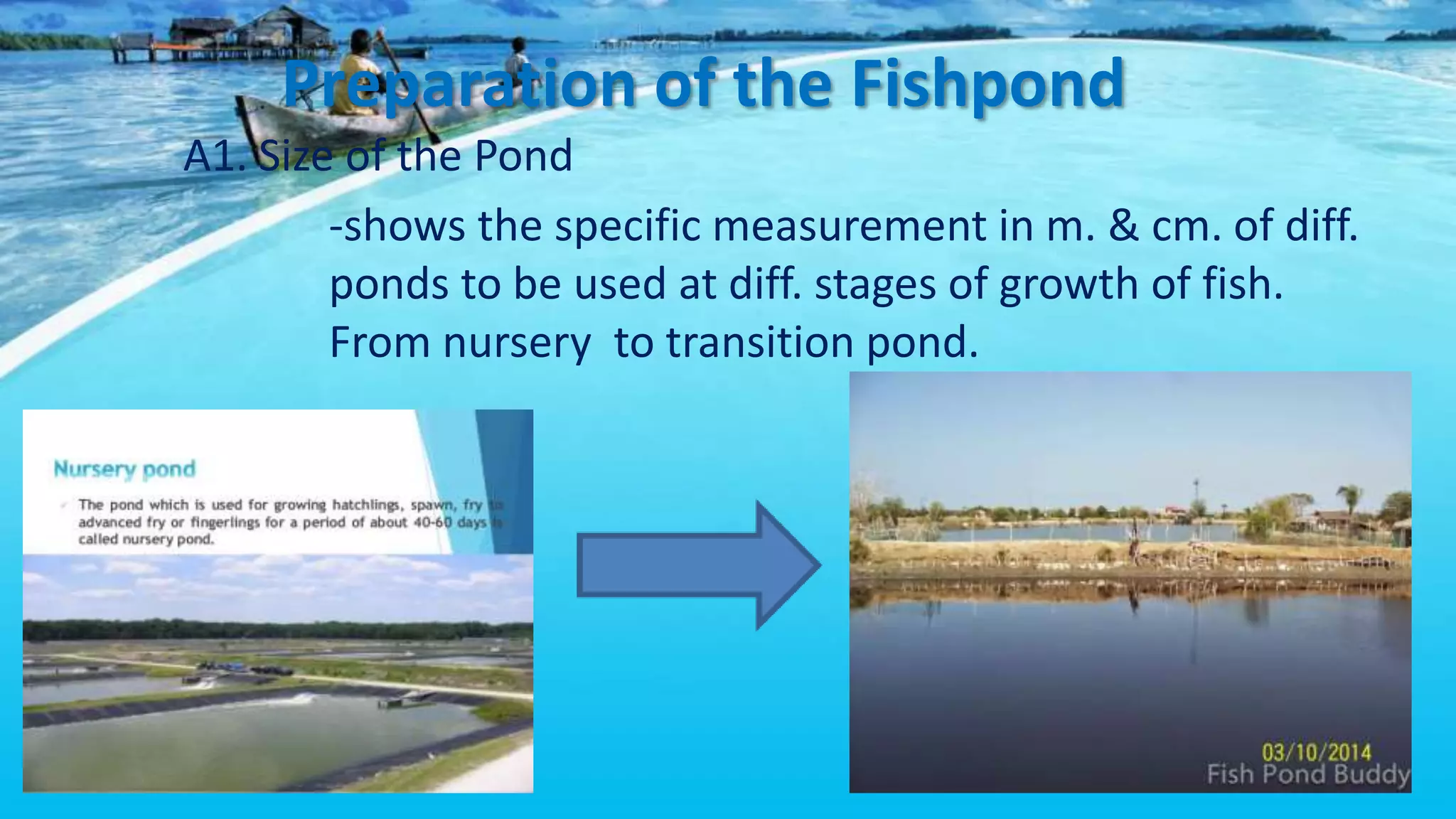 Drawing, Plans, Layout System of Fishery Farm | PPTX