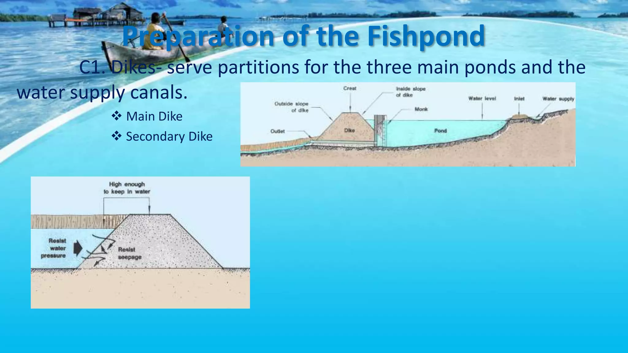 Drawing, Plans, Layout System of Fishery Farm | PPTX