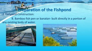 Drawing, Plans, Layout System of Fishery Farm | PPTX