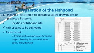 Drawing, Plans, Layout System of Fishery Farm | PPTX