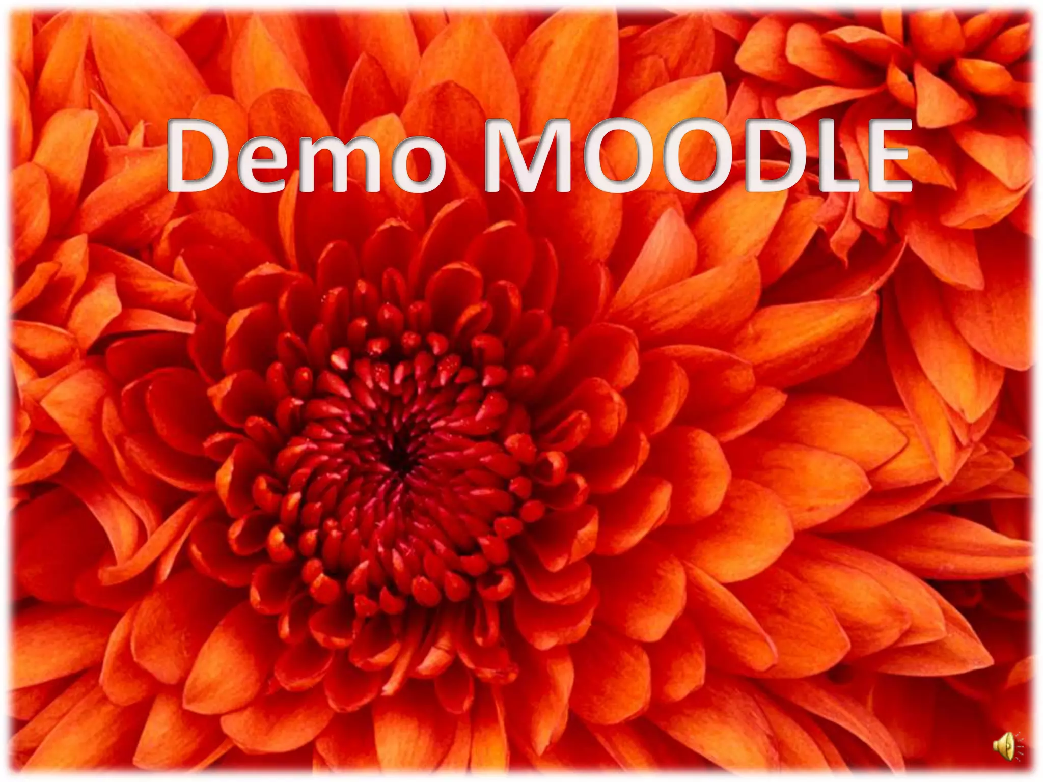 Demo for moodle | PPTX