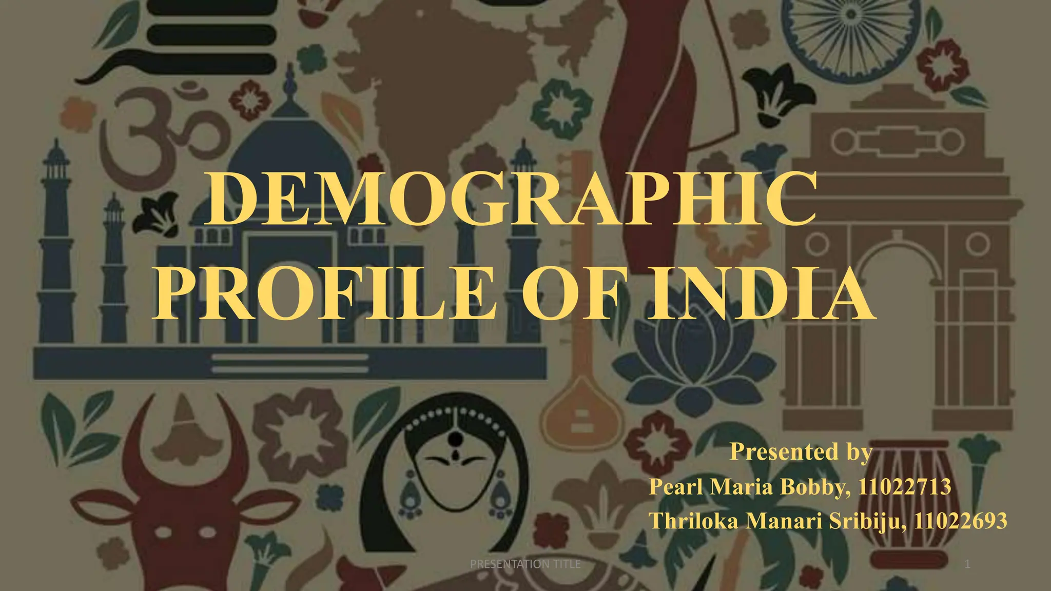 Demograhic Profile of India powerpoint presentation | PPTX