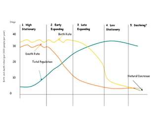 Demographic Transition Model | PPT