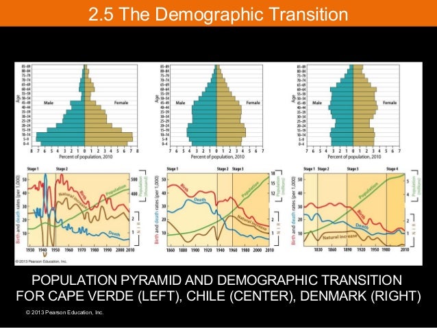 Demographic model