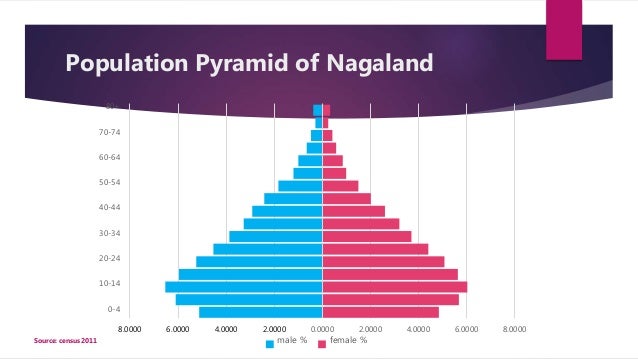Demographic profile of nagaland