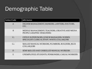 Demographics and psychographics | PPTX