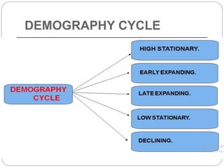 Demographic stages | PPTX