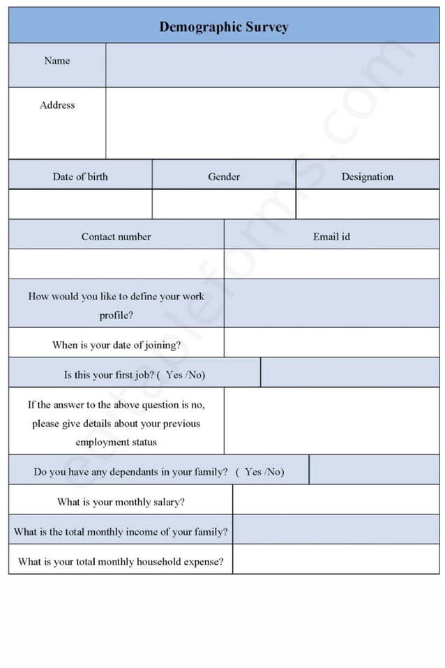 Demographic Survey Fillable PDF Template | PDF