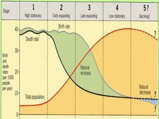 Demographic transition model | PPTX