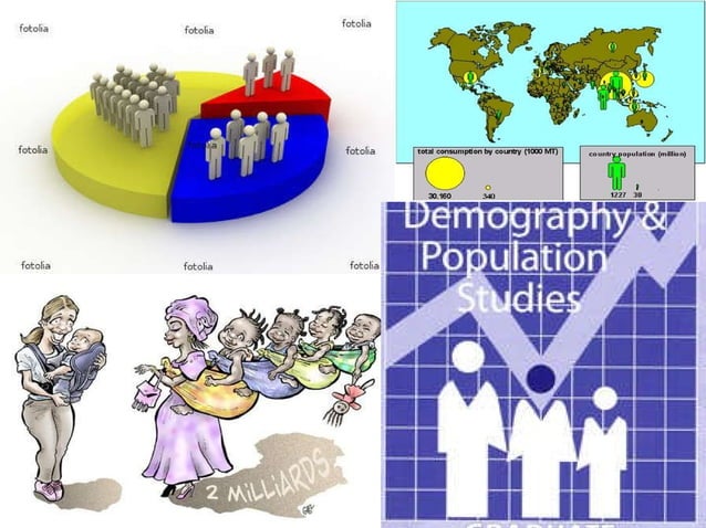 Demography | PPT