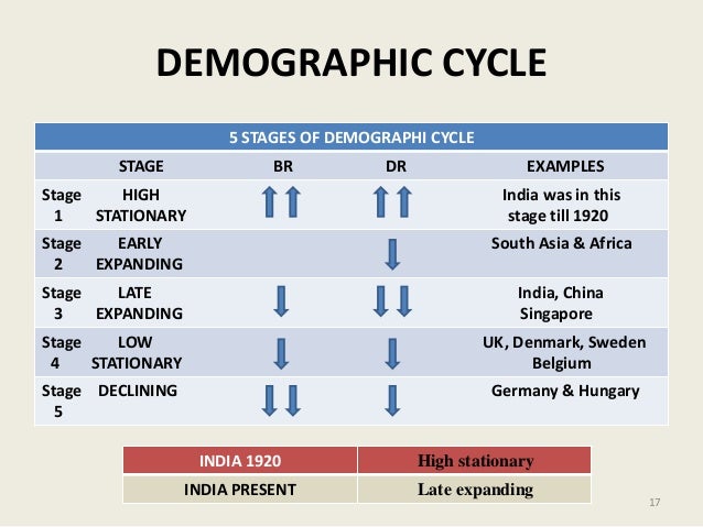 Demography