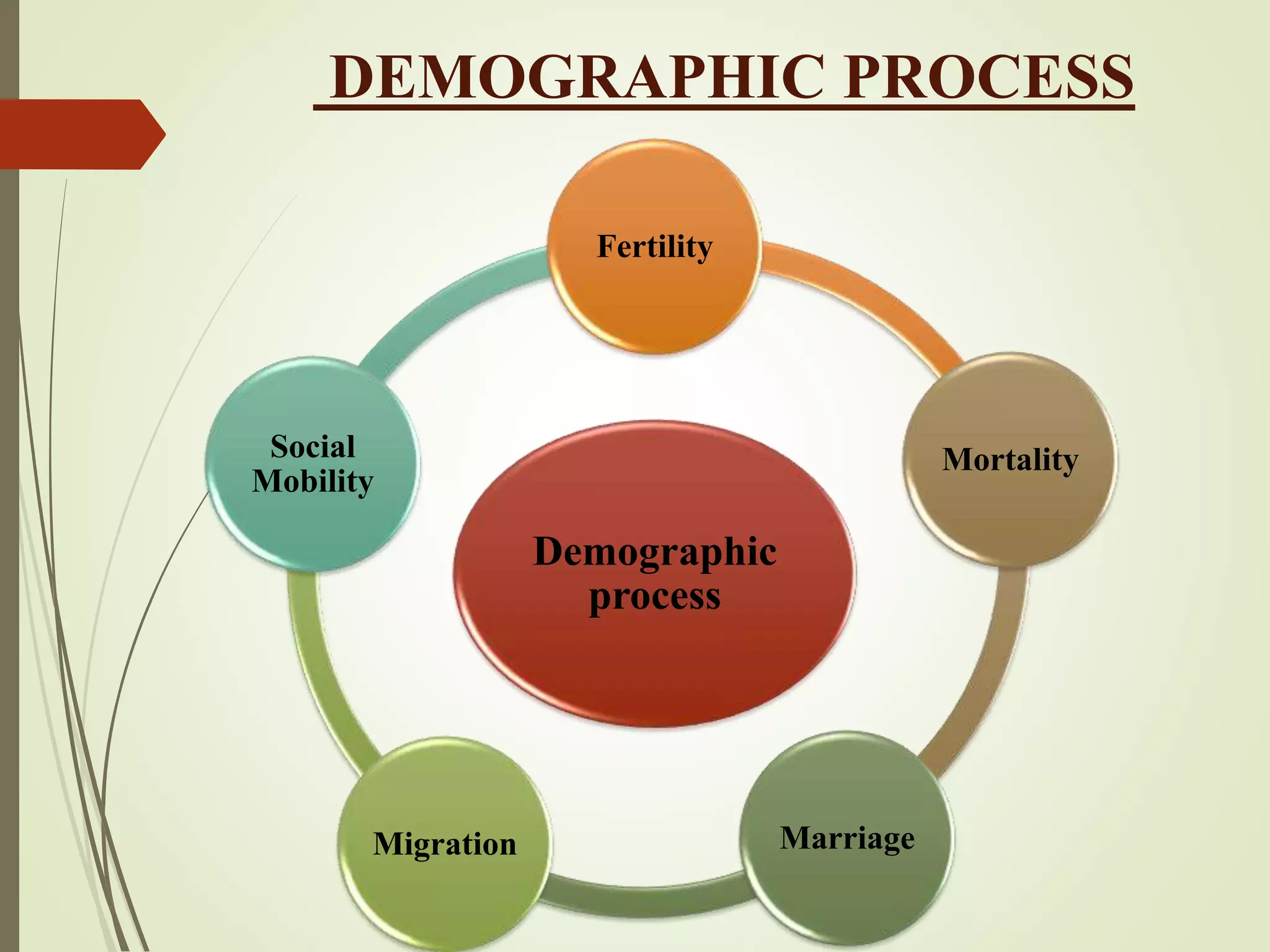 Demography | PPTX