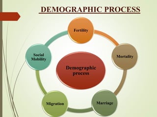 Demography | PPTX