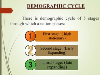 Demography | PPTX