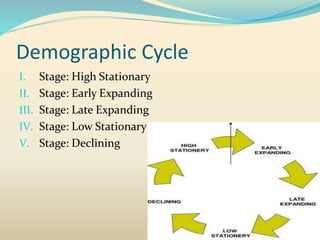 Demography | PPTX