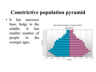 demography community health nursing pptt | PPTX