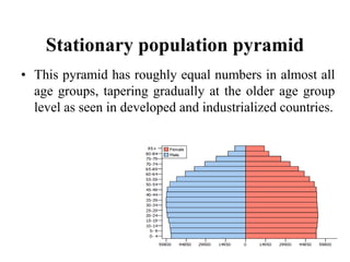 demography community health nursing pptt | PPTX