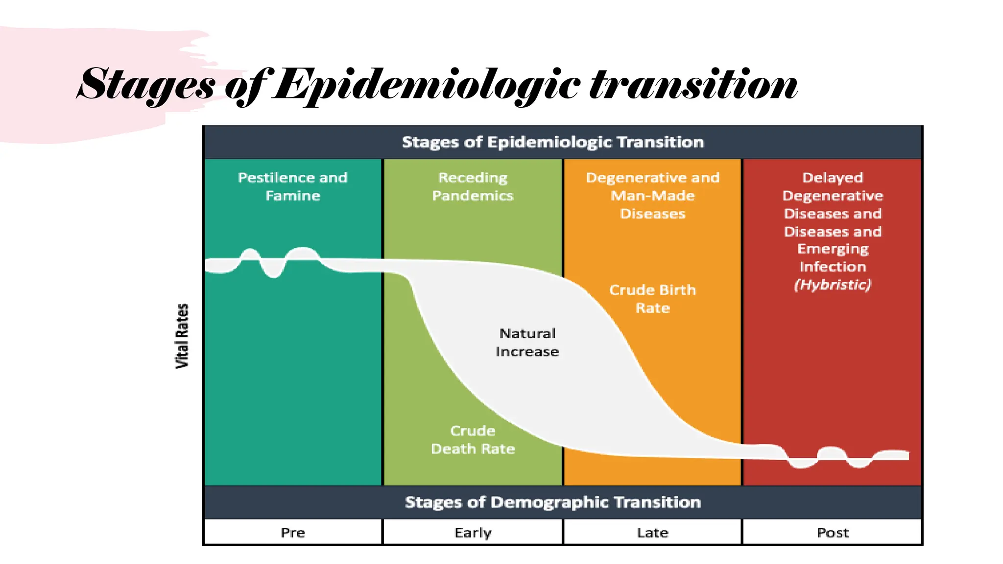 DEMOGRAPHY-PRINCIPLES, CYCLE, VITAL STATISTICS | PPTX