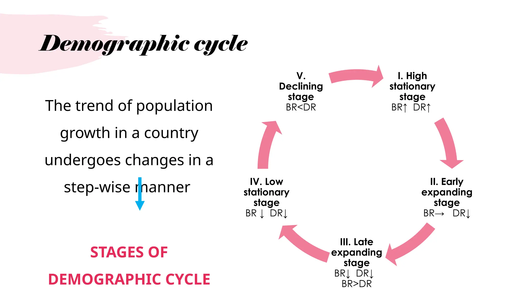 DEMOGRAPHY-PRINCIPLES, CYCLE, VITAL STATISTICS | PPTX